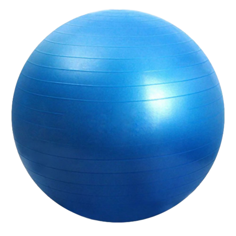 Exercise Ball 425 Fitness exercise-ball-425-fitness